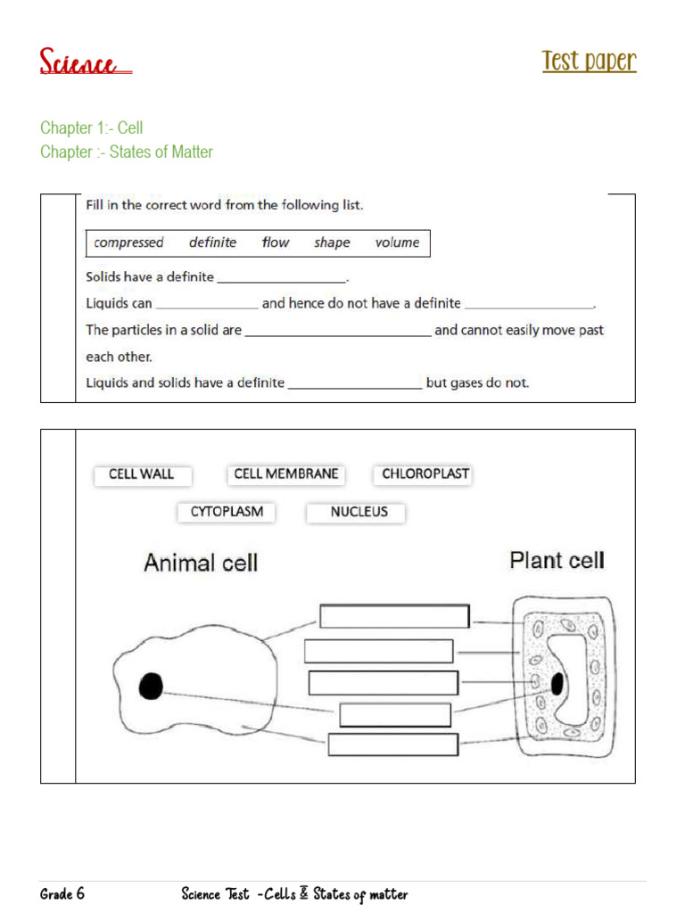 Test Paper Science States of Matter, Cells Grade 6 IG | PDF | Liquids ...