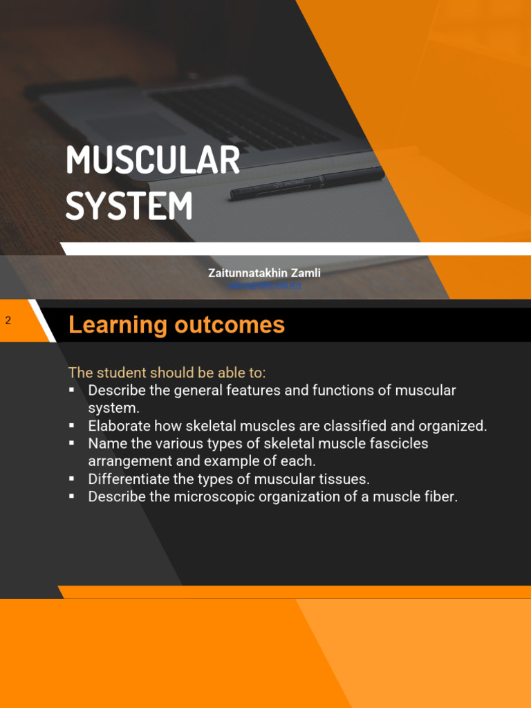 Week 3 - Muscular system | PDF | Muscle | Skeletal Muscle
