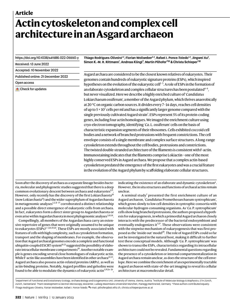 Actin Cytoskeleton and Complex Cell | PDF | Archaea | Ribosomal Rna