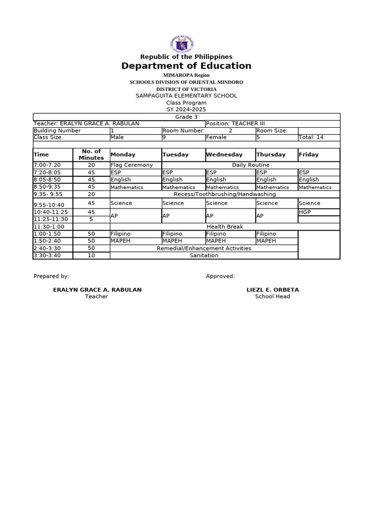 Ses Class Program Gr 1 3 | PDF
