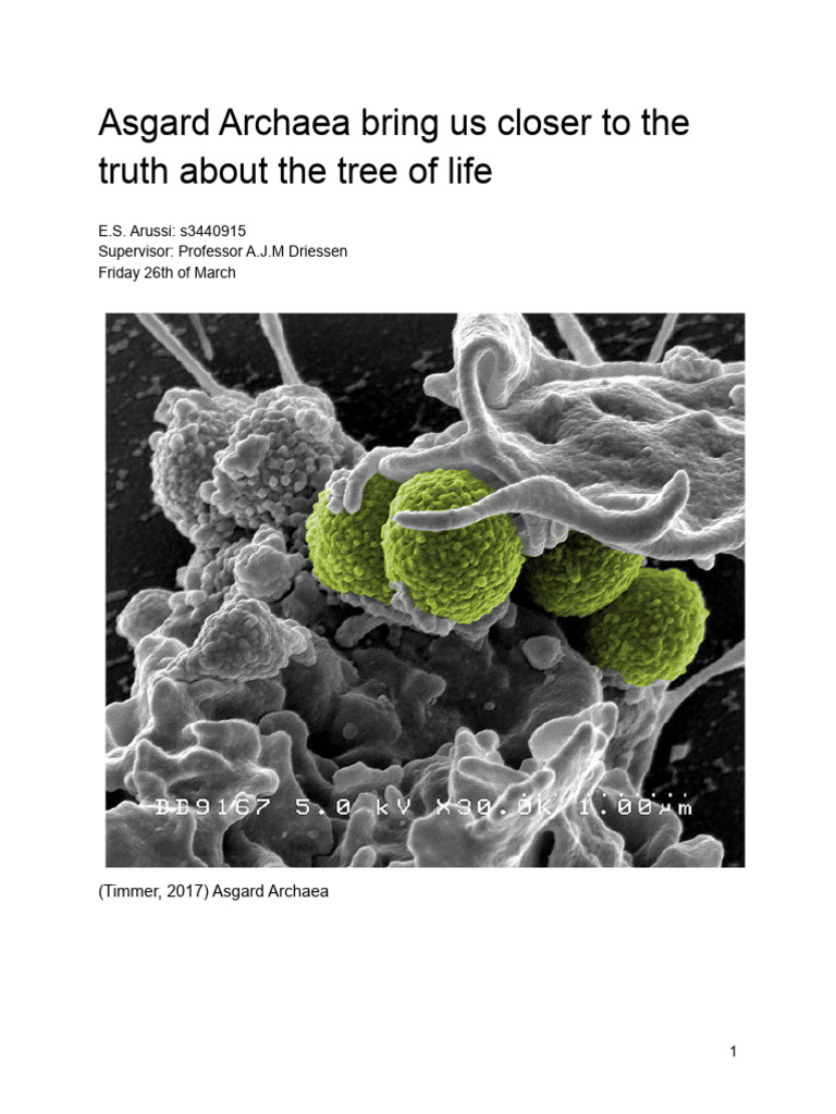Asgard Archaea Bring Us Closer To The Truth About The Tree of Life ...