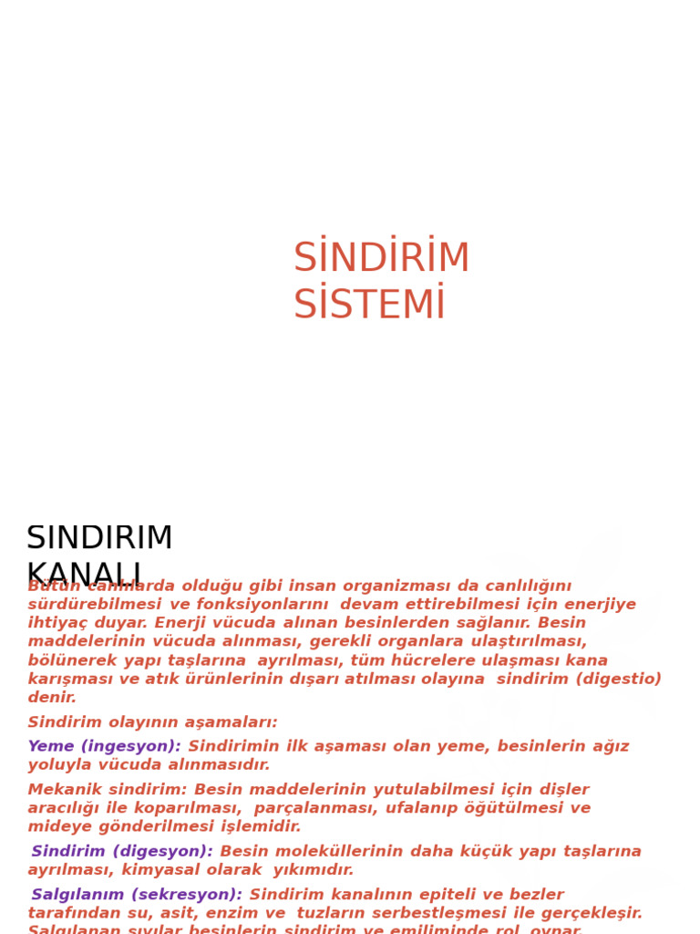Hafta SİNDİRİM SİSTEMİ | PDF