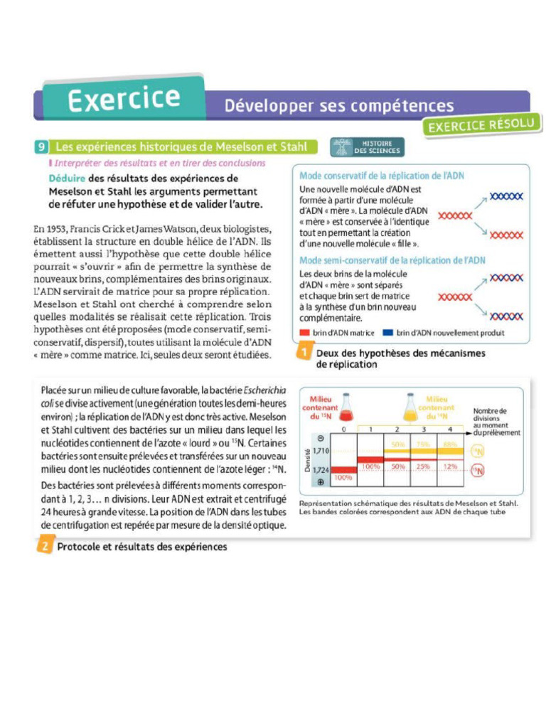 EXPERIENCE DE MESELSON ET STAHL Activité 4 | PDF