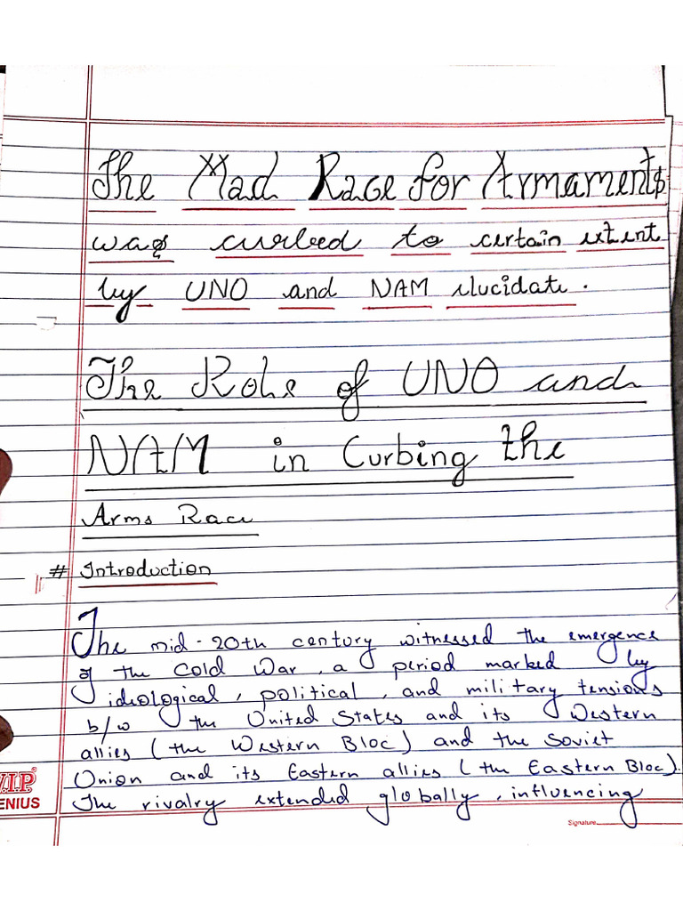 History Project !! | PDF