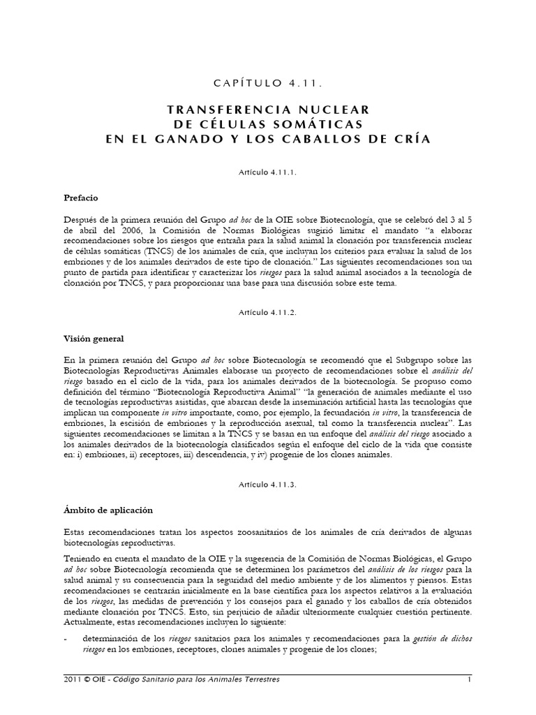 Clonación por Transferencia Nuclear en Ganado | PDF | Clonación ...