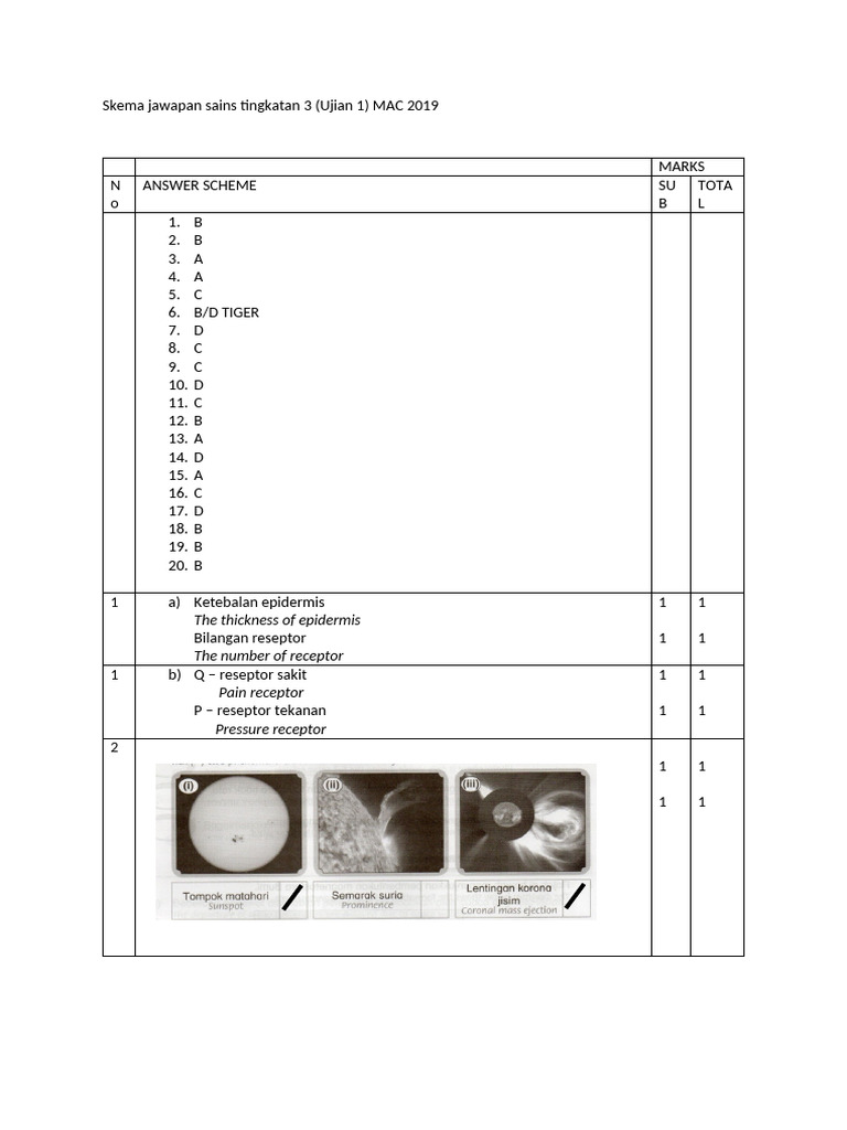 Skema Jawapan Sains Tingkatan 3 | PDF