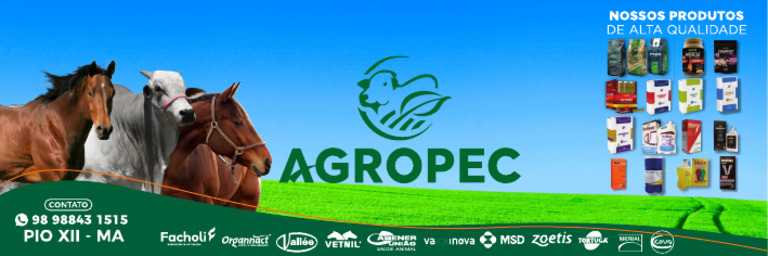 Outdoor Agropec 2024 | PDF