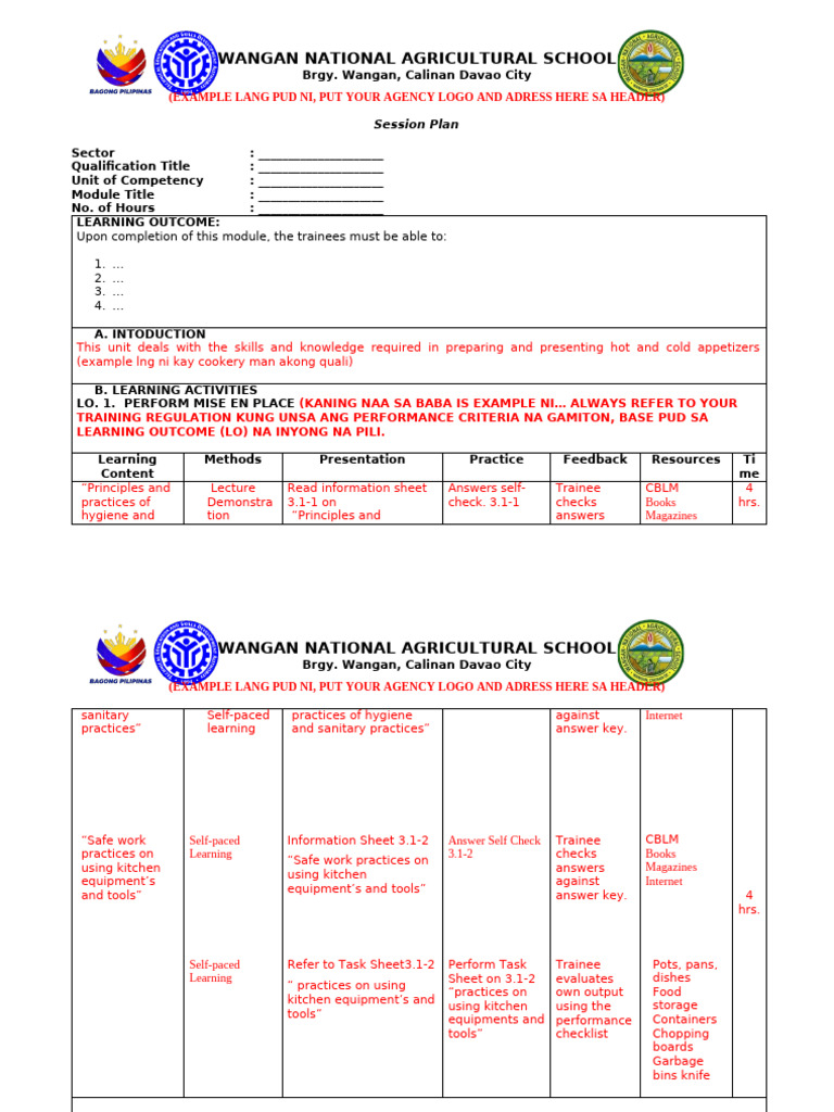 Sample-Session-Plan Sample With Instruction | PDF | Learning | Behavior Modification