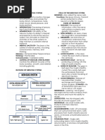Class 5-Science Notes-The Nervous System | PDF | Brain | Nerve