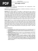 Cocori Libro Completo | PDF