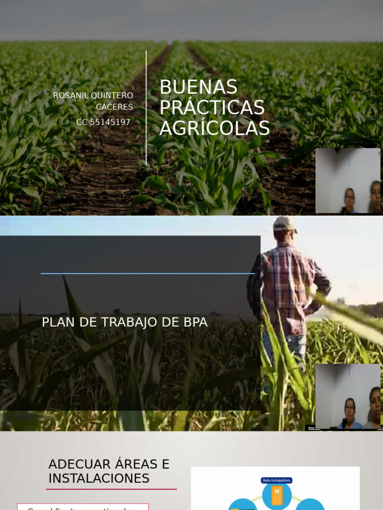 Buenas Prácticas Agrícolas | PDF | Pesticida | Agricultura