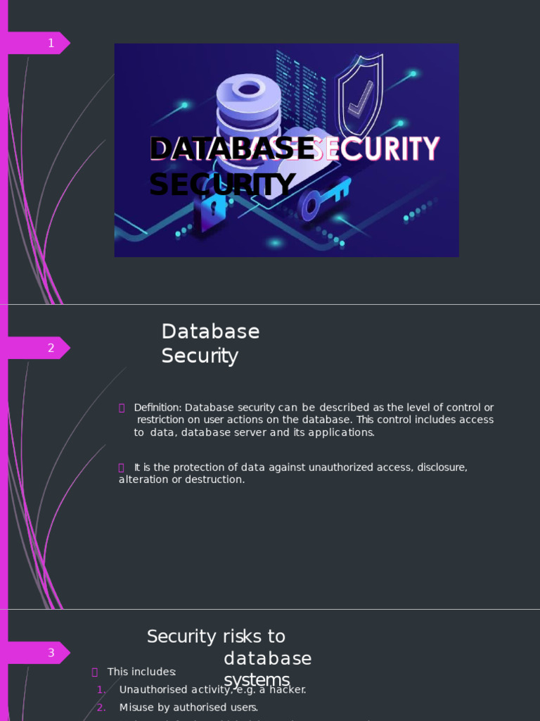 Database Security | PDF | Databases | Security