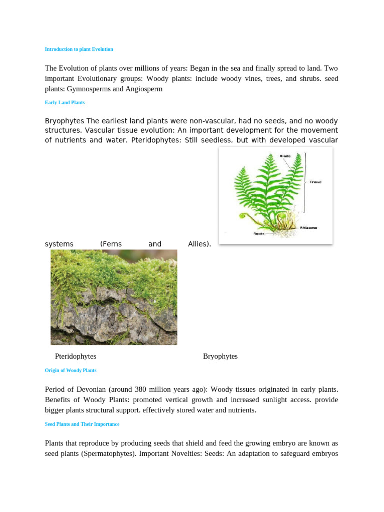Plant Evolution: From Sea to Land | PDF | Plants | Seed