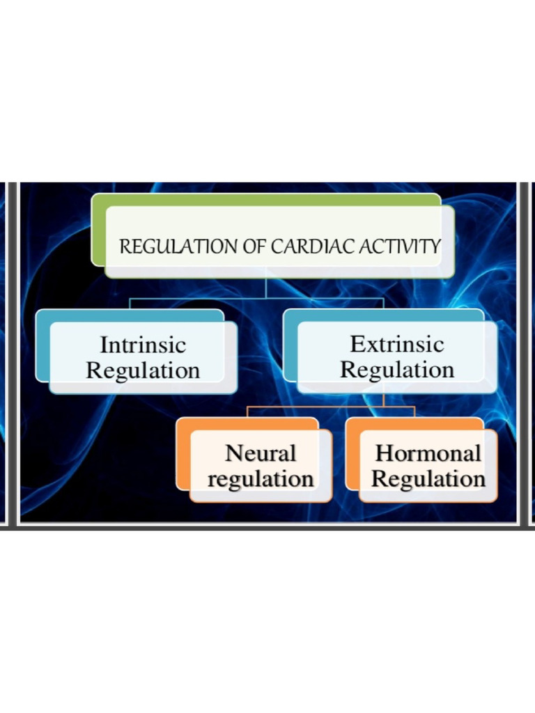 Factors Regulating The Action of Heart | PDF