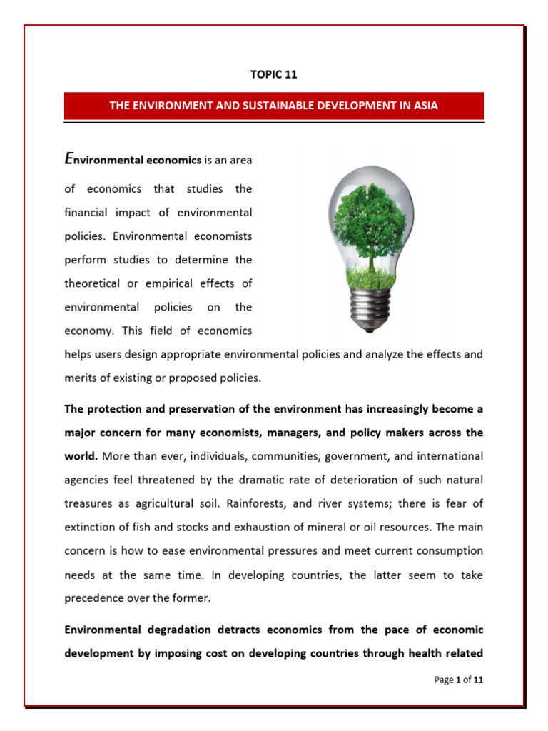 Topicc 11 - Economic Development | PDF | Pollution | Taxes