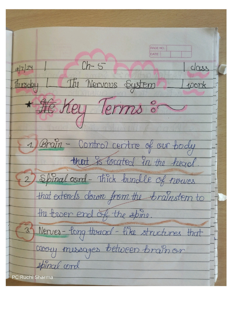 Chapter - 5 - Science | PDF