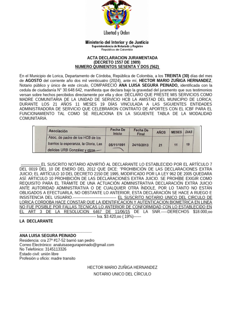 Declaracion - Ana Luisa | PDF