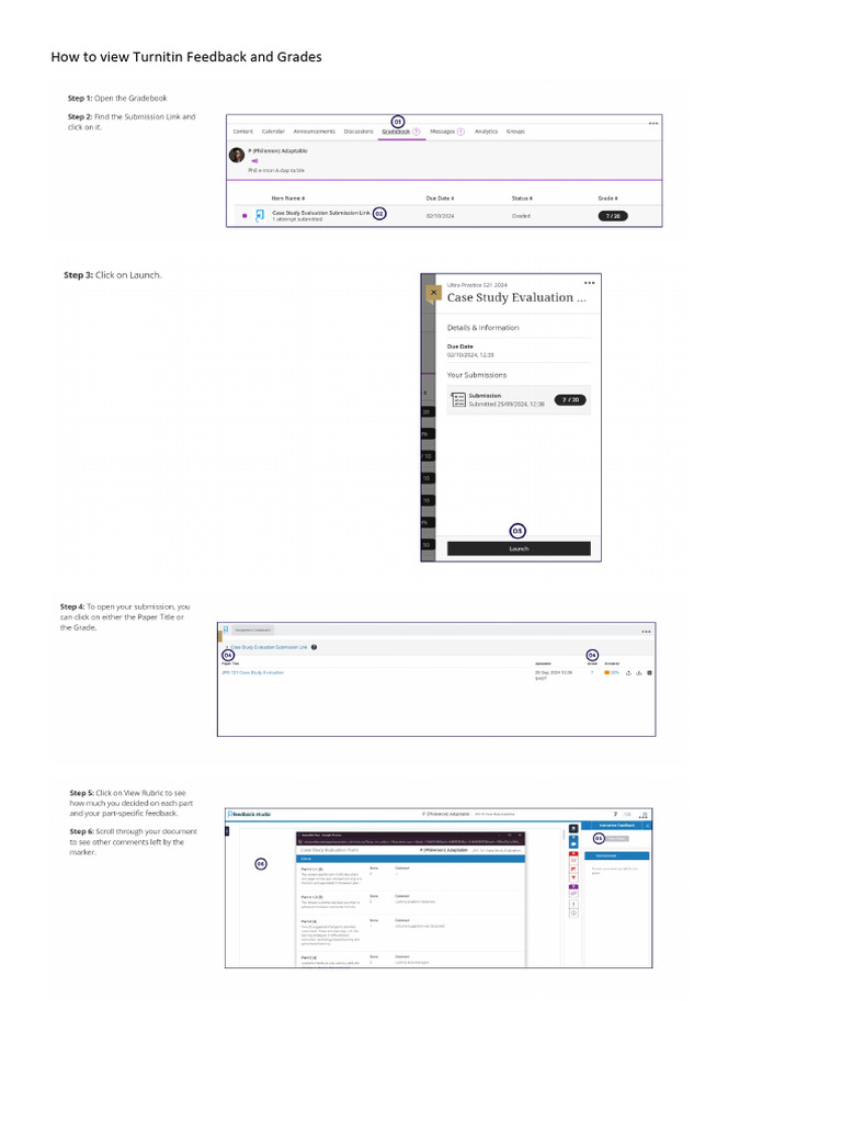 How To View Turnitin Feedback and Grades PDF | PDF