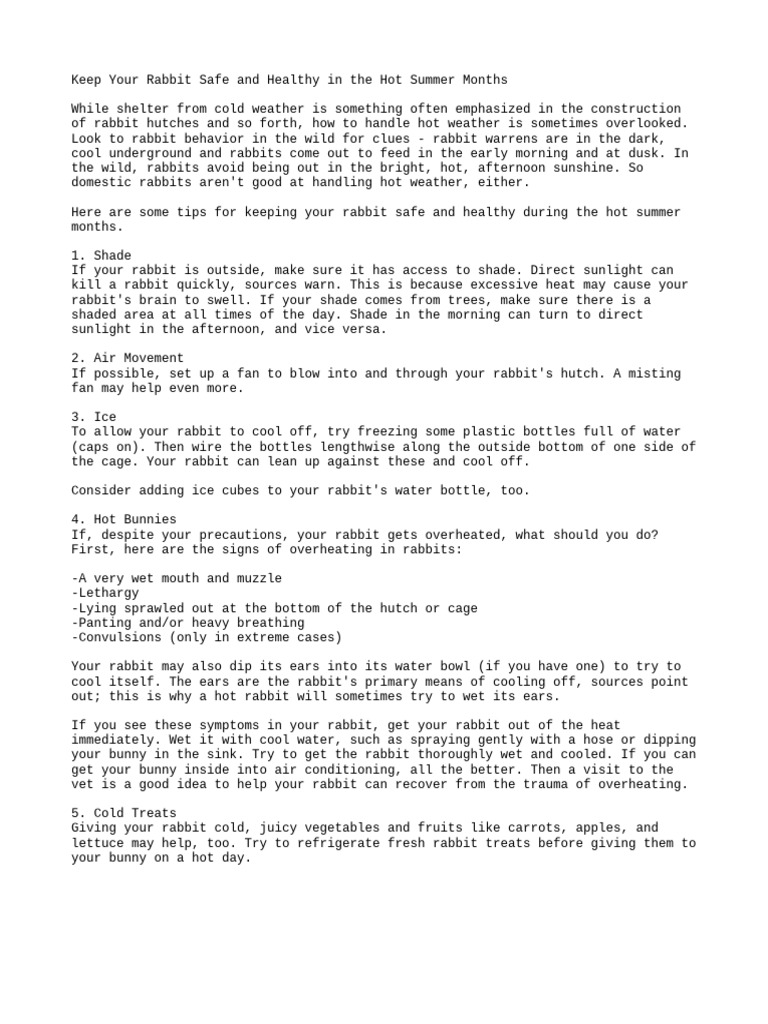 Keep Rabbit Safe in Hot Summer | PDF | Rabbit