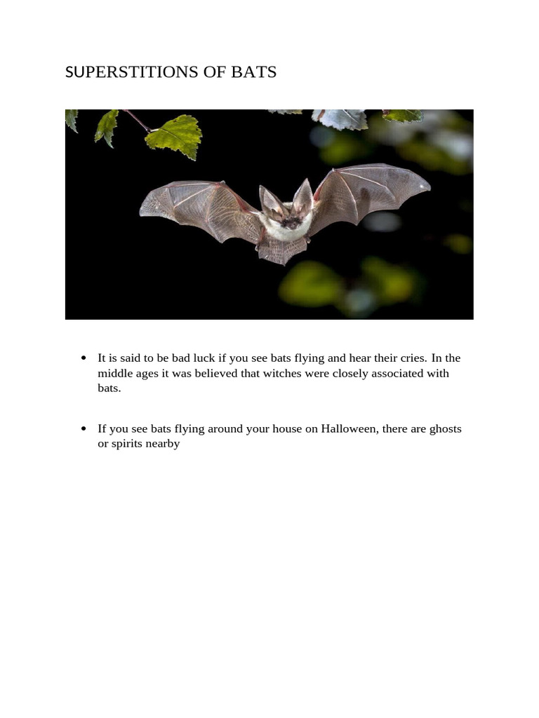 Superstitions of Bats | PDF