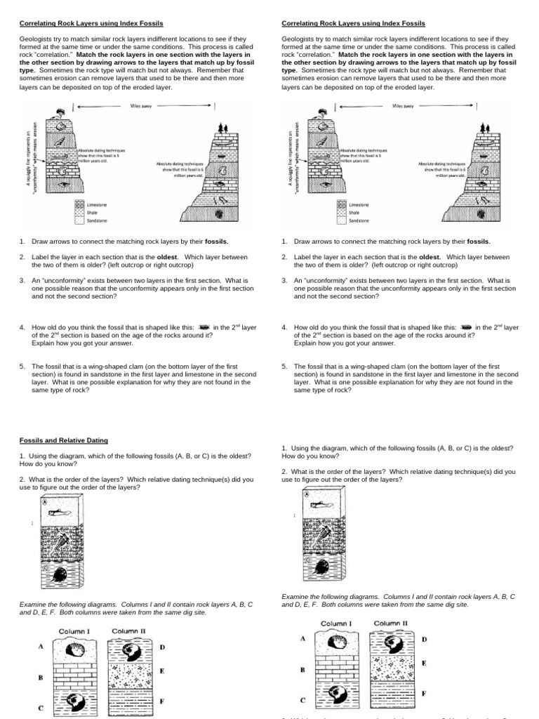 Index Fossils Worksheet FINDASAURUS