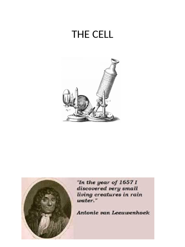 The Cell | PDF | Science & Mathematics