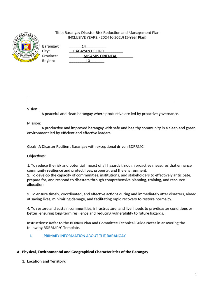 BRGY 14 ENHANCED BDRRMP New Template For ROLL OUT 2024-2028 | PDF ...