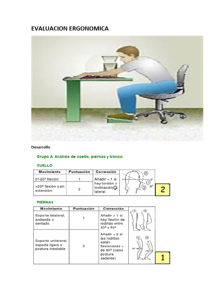 Evaluacion Ergonomica | PDF