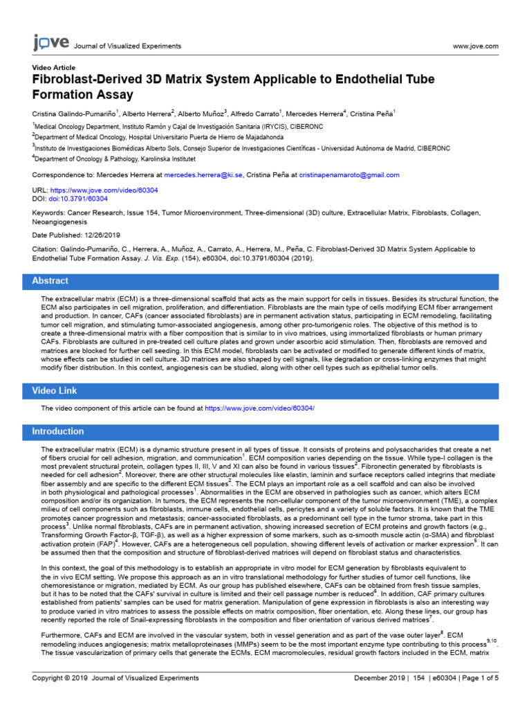 Fibroblast-Derived 3D Matrix System Applicable To Endothelial Tube ...