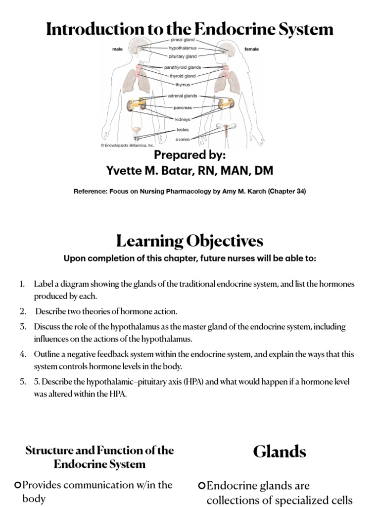 (NCM106) A.-Introduction-to-the-Endocrine-System-Ch34 | PDF | Pituitary ...