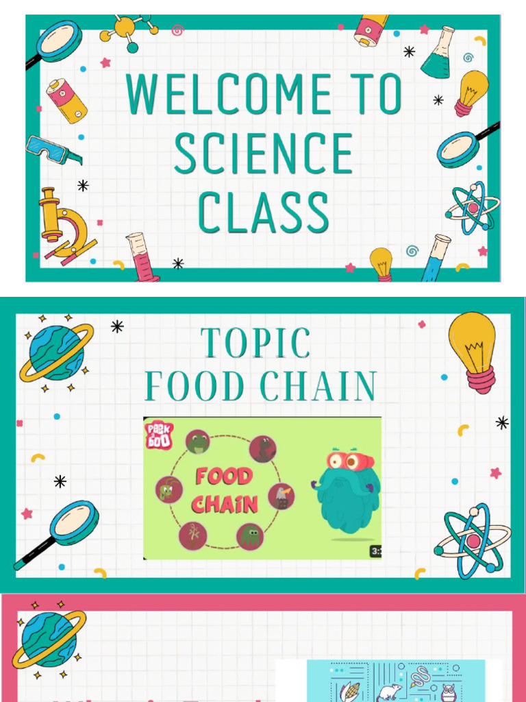 Presentation. Food Chain | PDF