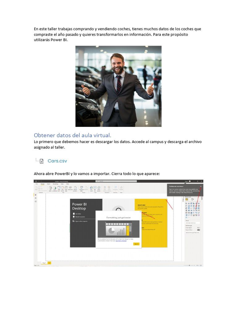 S2T1 PowerBI | PDF