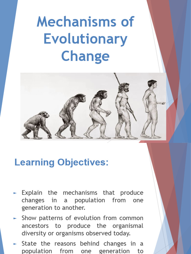 Lecture 3 Mechanisms of Evolutionart Change | PDF | Mutation | Evolution
