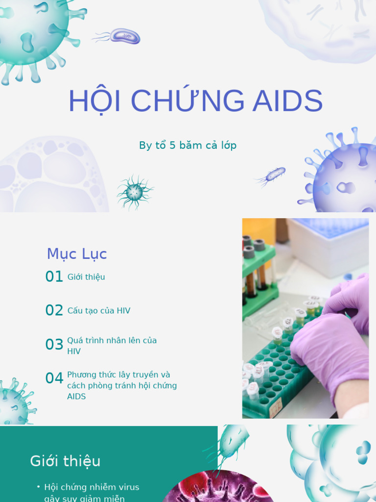H I CH NG AIDS | PDF