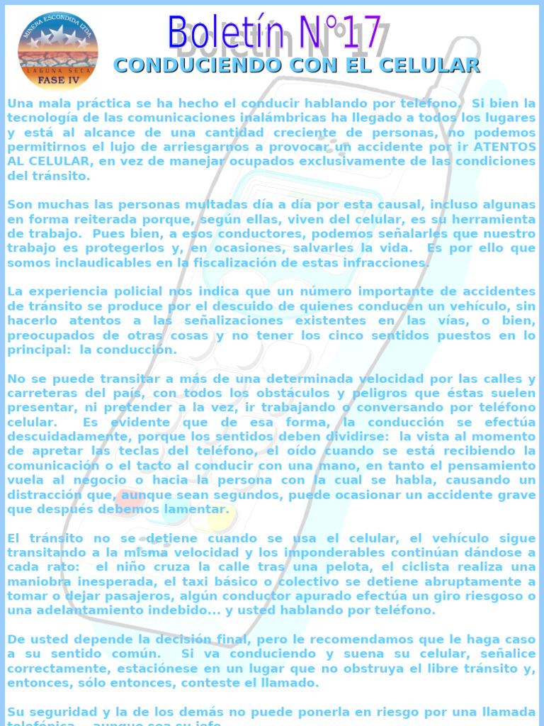 17boletín Seg | PDF | Teléfonos móviles