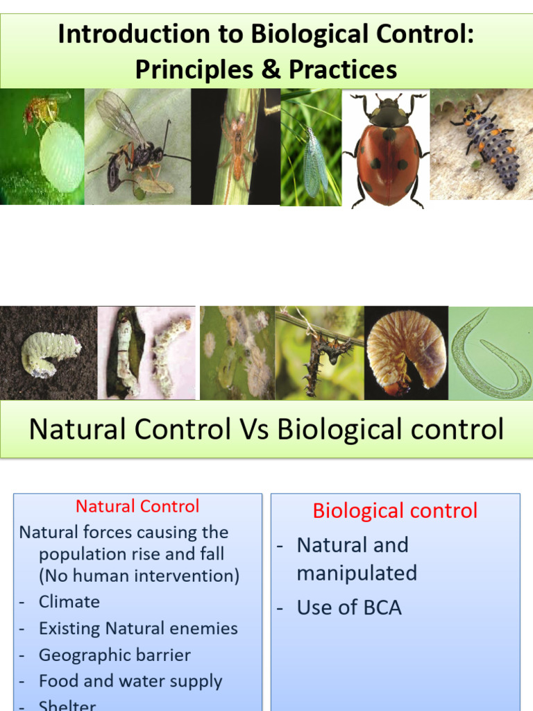 Biological Control Principles and Practices | PDF | Biological Pest ...