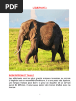 Les Éléphants | PDF | Éléphant | Zoologie
