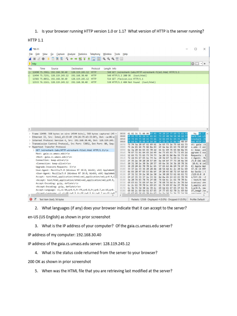 NguyenNgocQuy Lab2a | PDF | Networking | Internet & Web