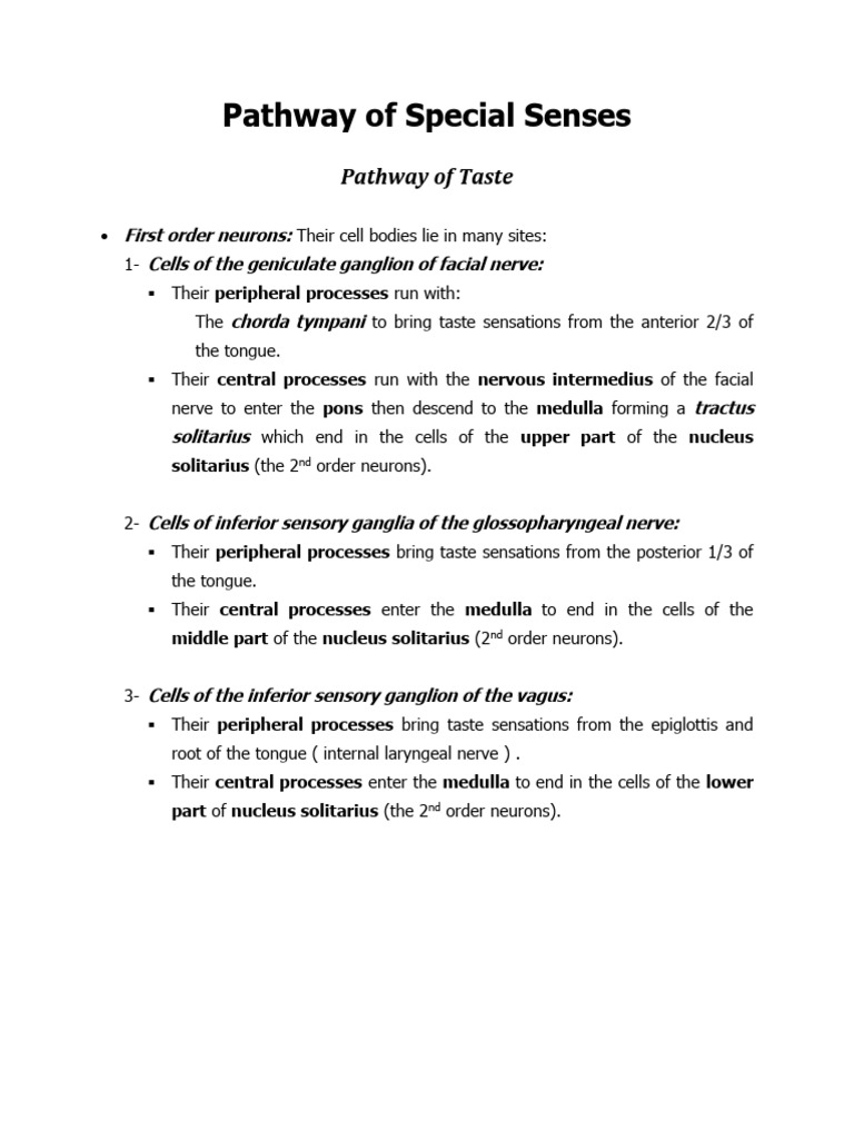 Anatomy Pathway of Special Senses | PDF | Visual System | Auditory System