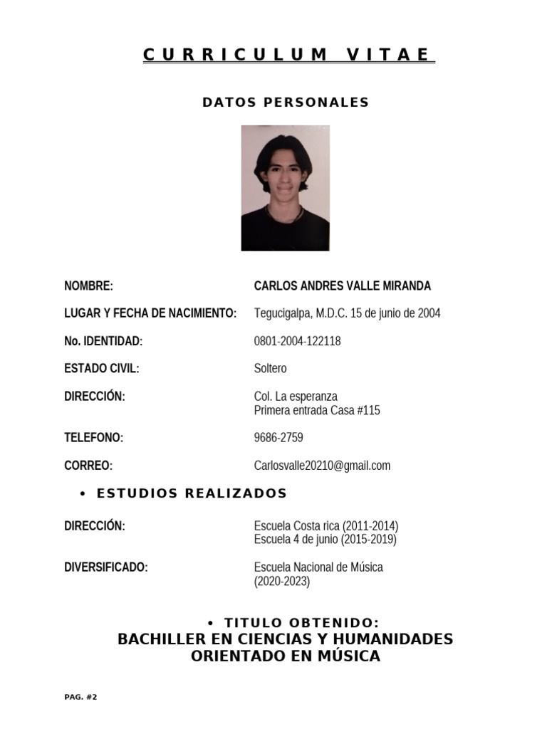 CV Carlos Andres Valle Miranda | PDF