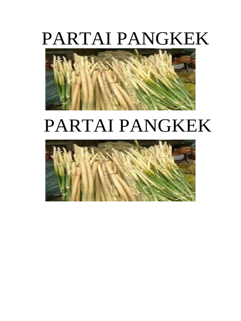 Partai Pangkek | PDF