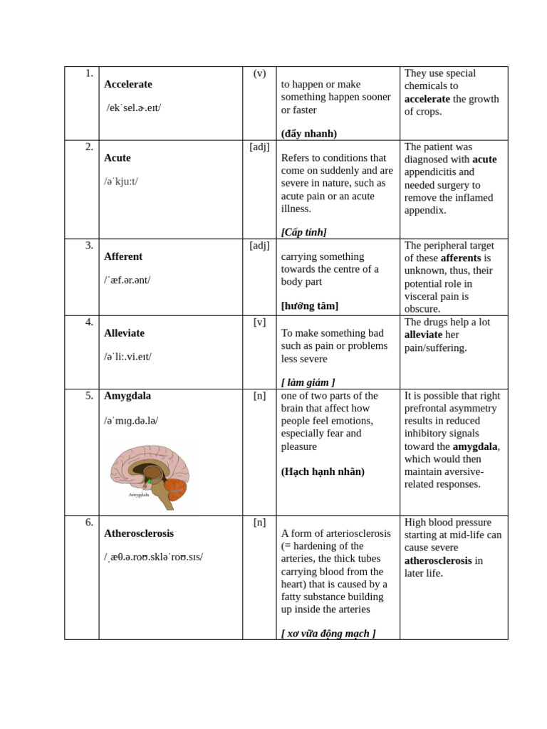 Medical Terminology Glossary | PDF | Nerve | Brain