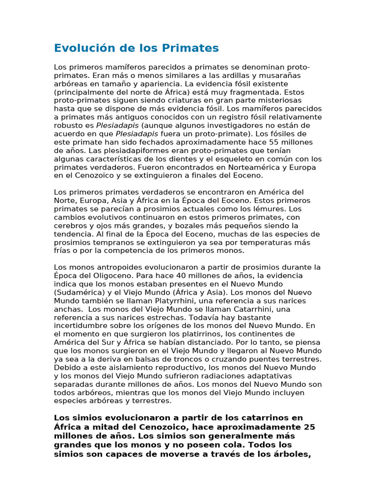 Evolución de los Primates y Humanos | PDF | Mono | Humano