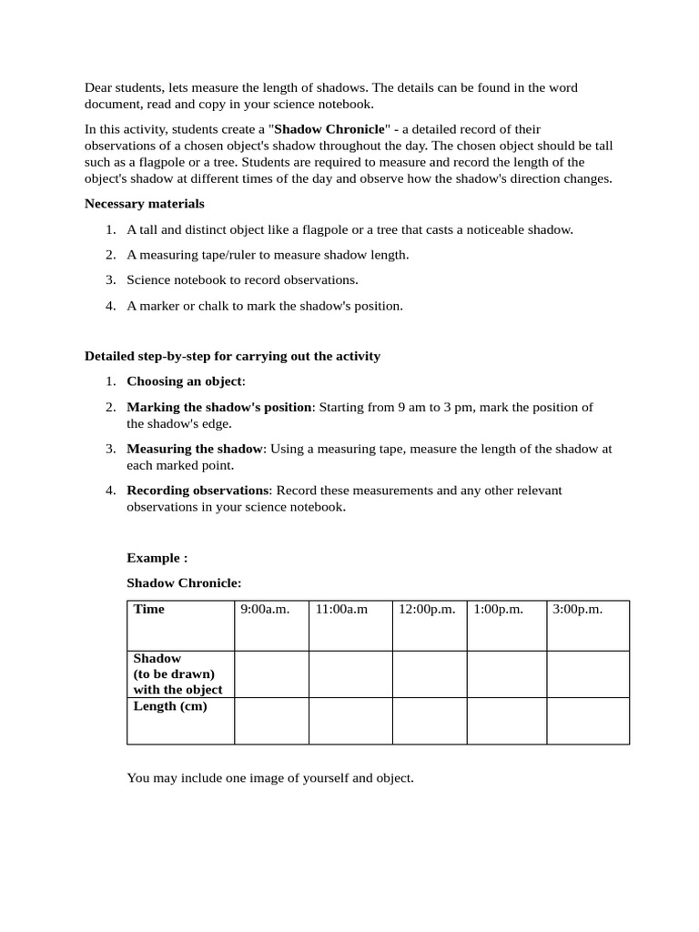 Shadow Chronicle | PDF