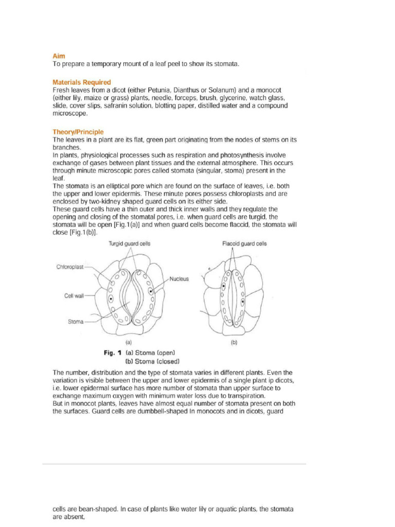 Practical X Bio | PDF