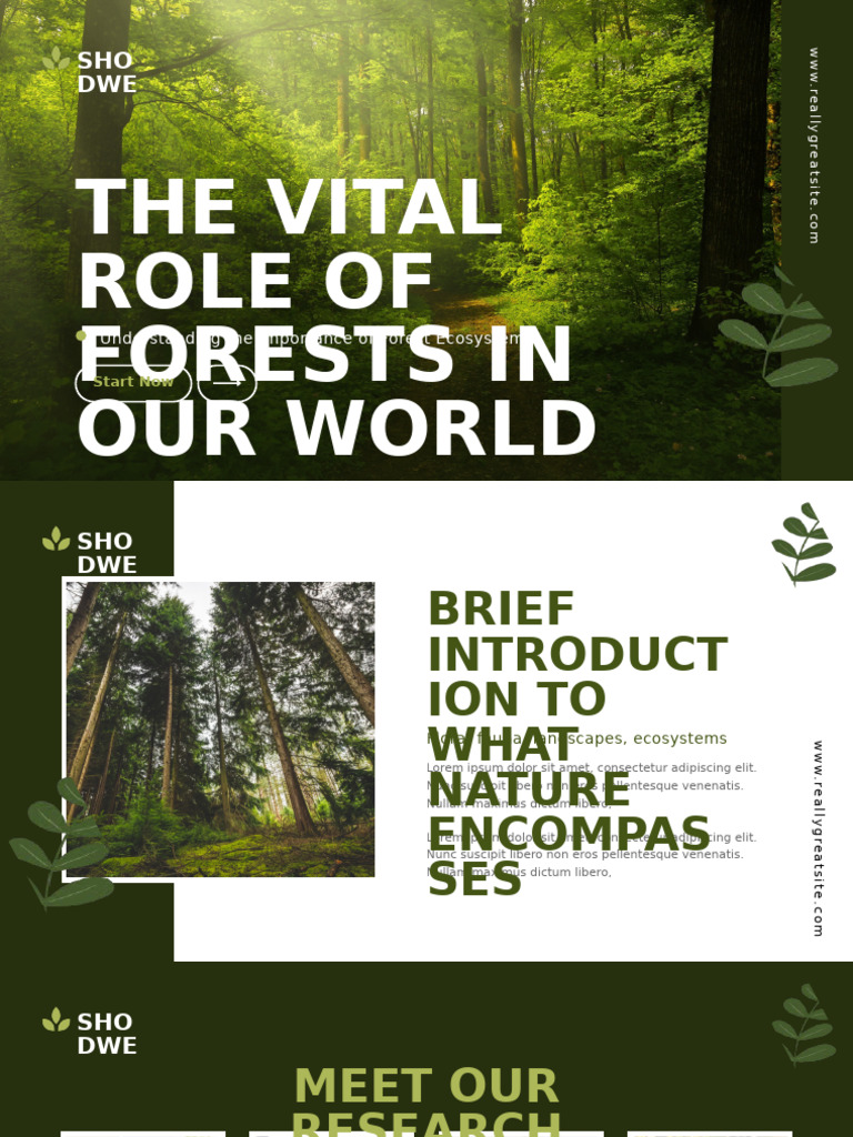 Green Modern Bold Nature Presentation | PDF | Forests | Nature