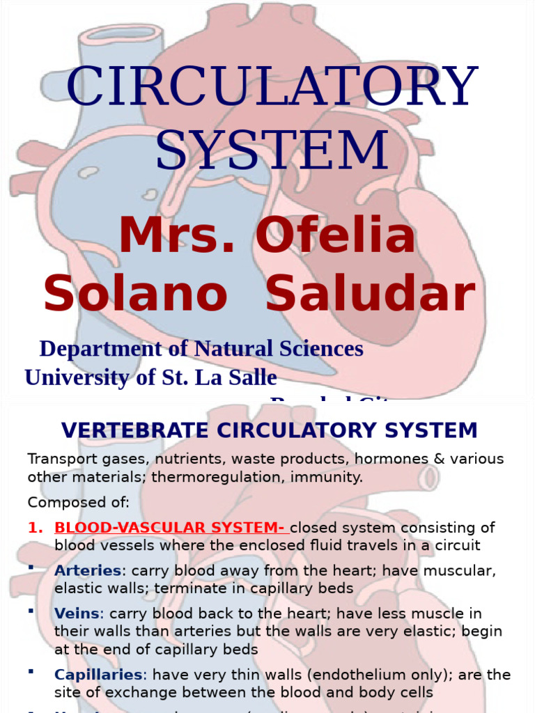 Vertebrate Circulatory System | PDF | Aorta | Ventricle (Heart)