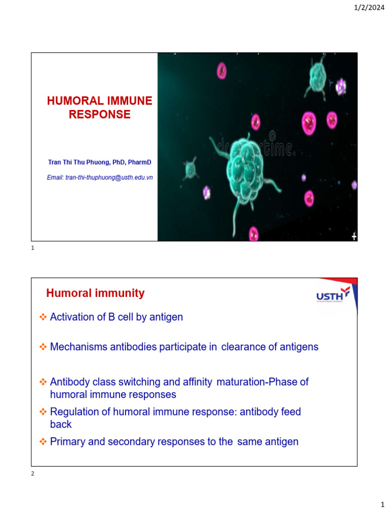 6 - Humoral Immune Response | PDF | B Cell | Antibody
