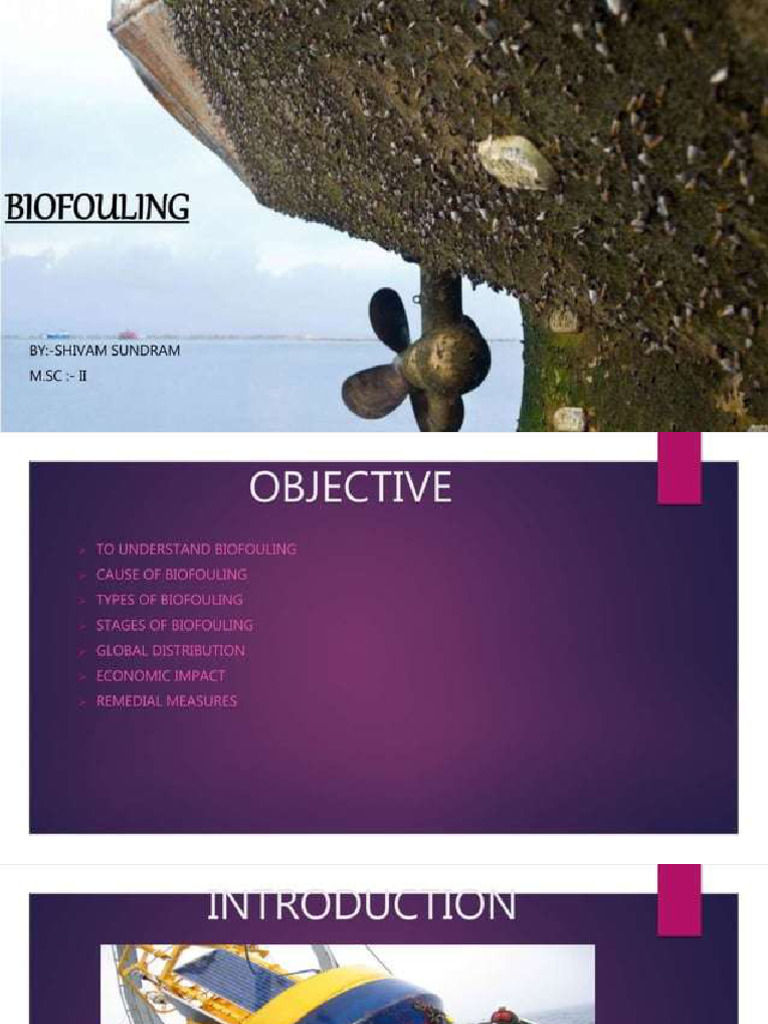 Biofouling 2 | PDF