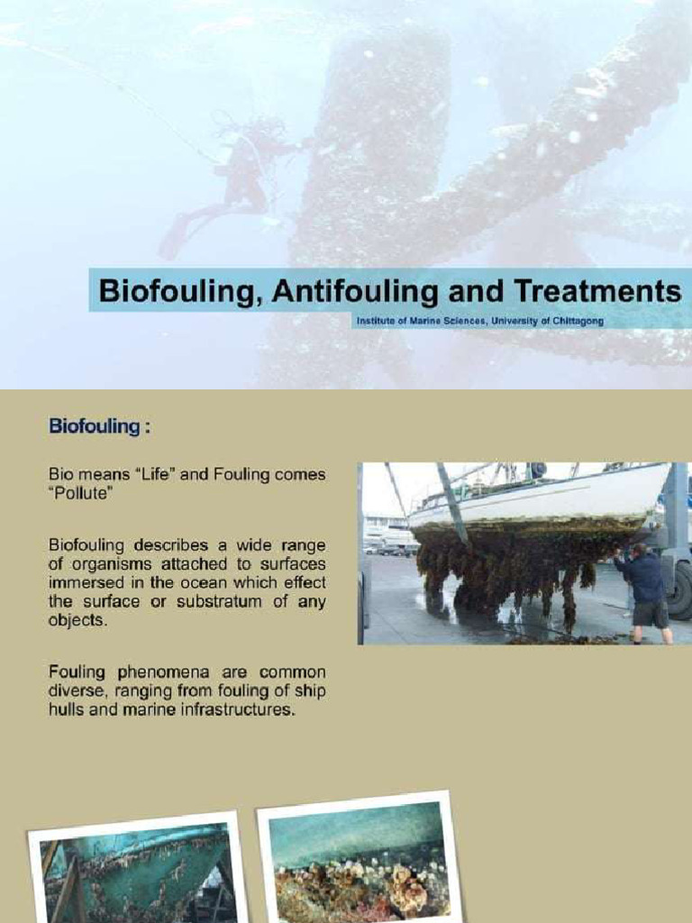 Biofouling 11 | PDF